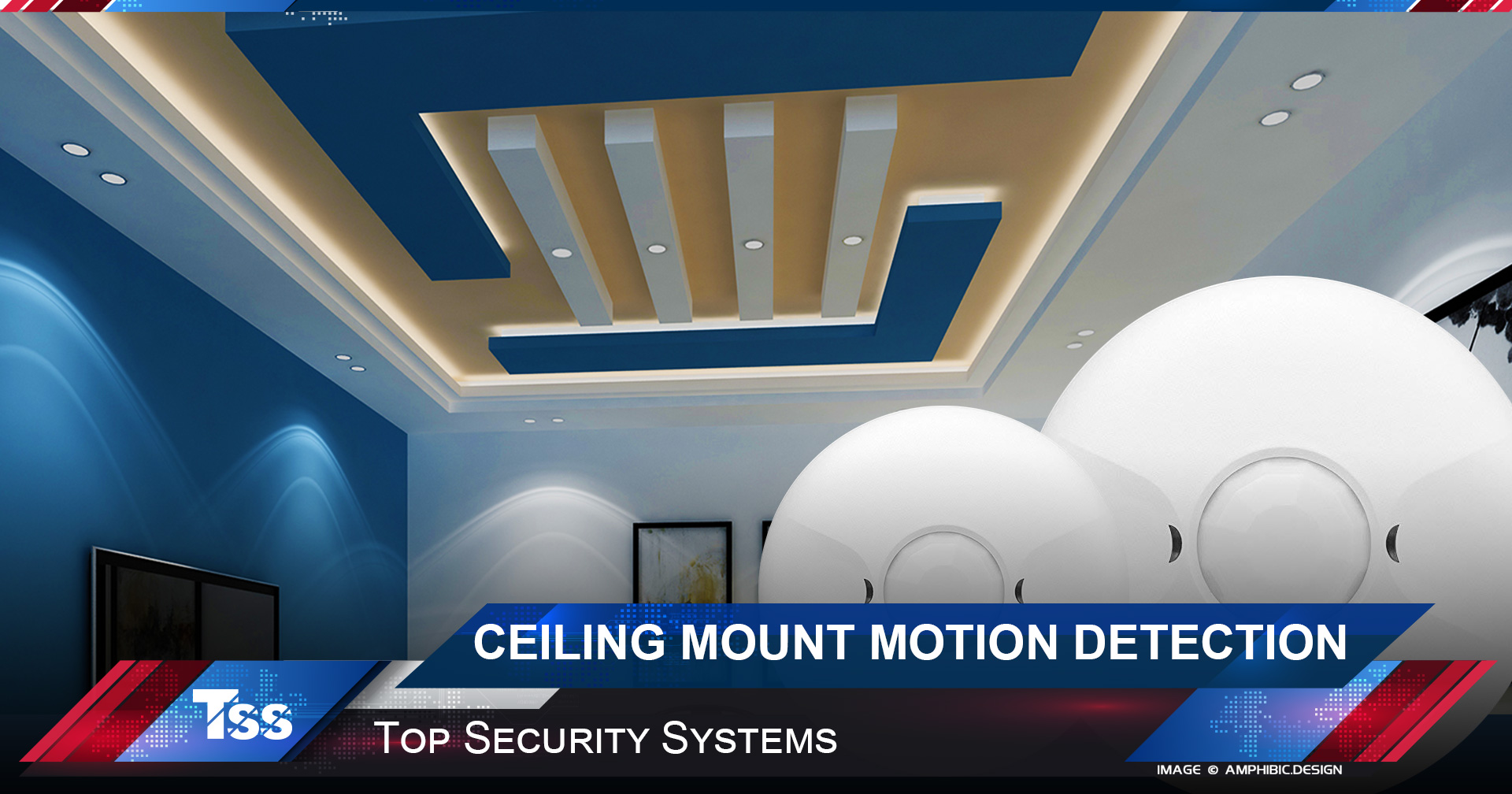 Ceiling Mount Motion Detection for Home & Business • Top Security Systems